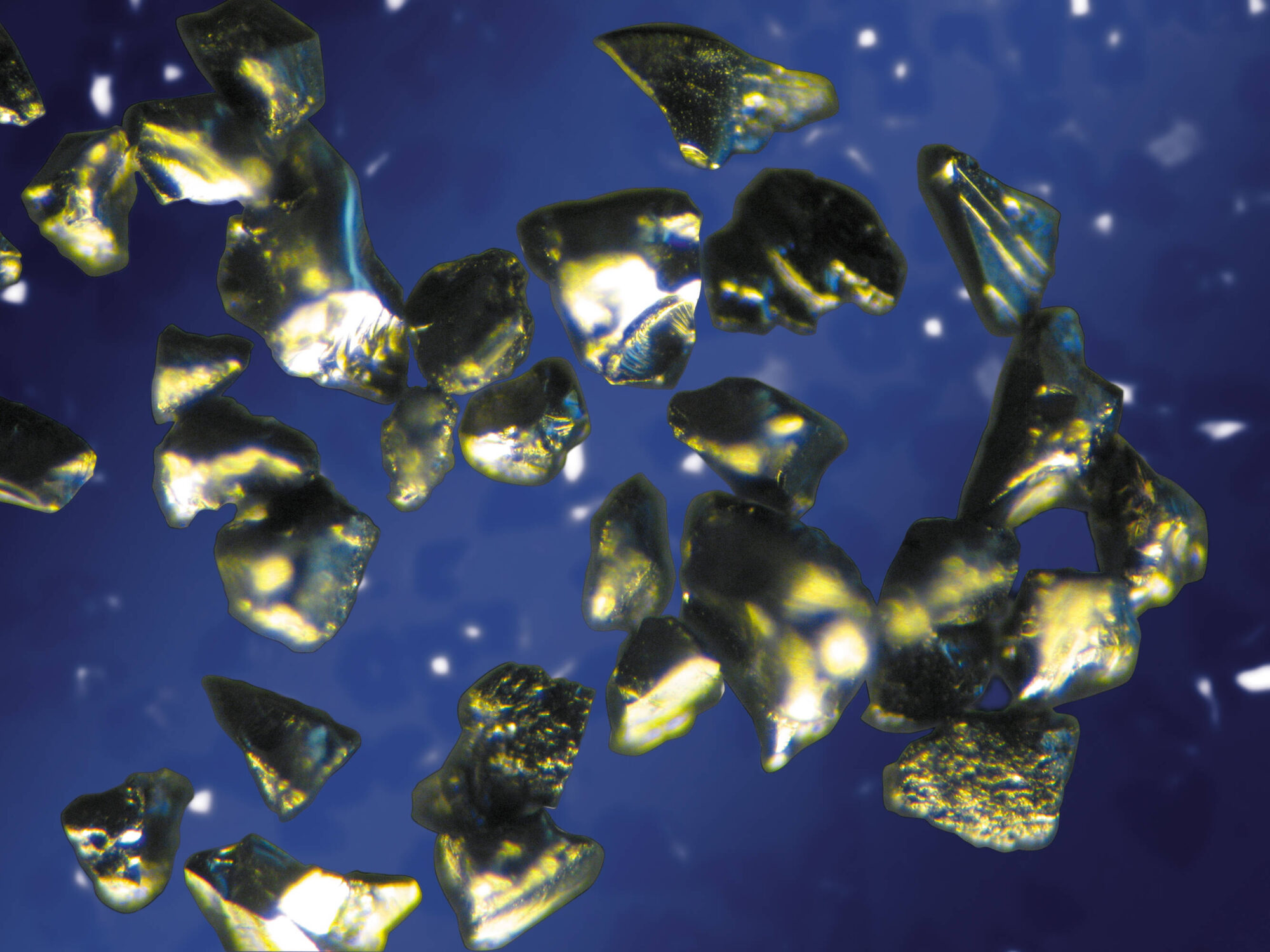 Home - Claudius Peters